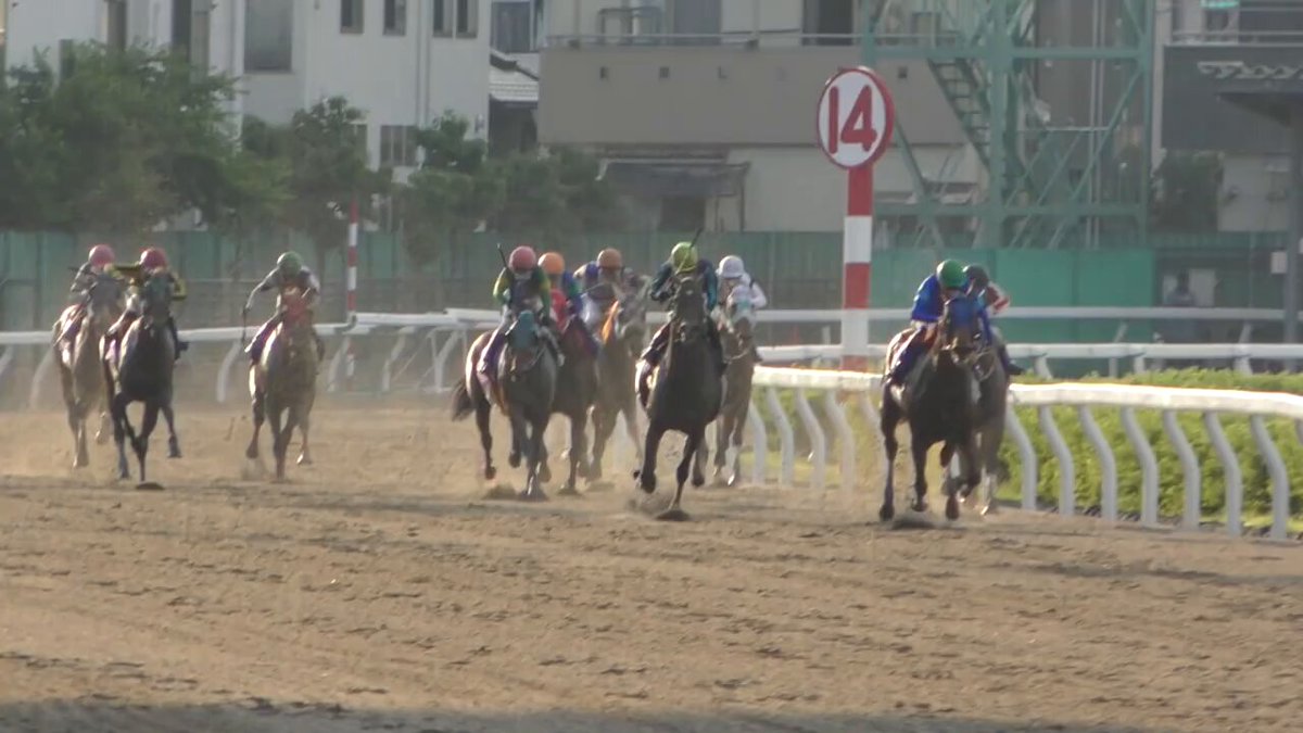 第28回さきたま杯 Jpn1昇格 初代王者はレモンポップ - posfie