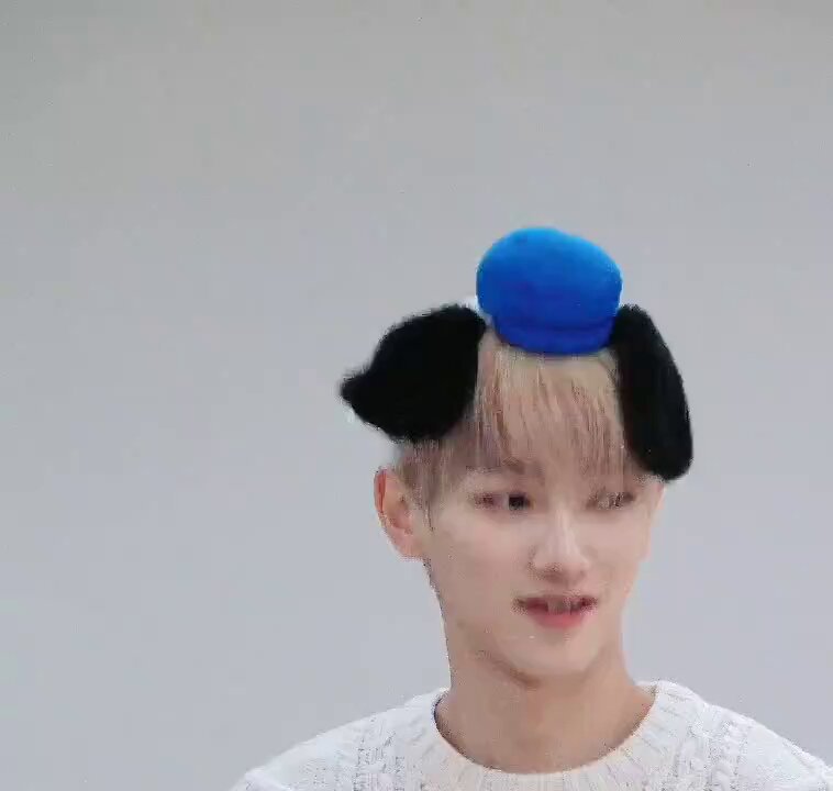 VANNER 231229 - posfie