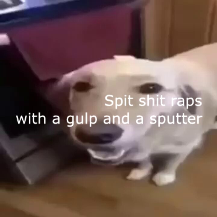 Butter dog store