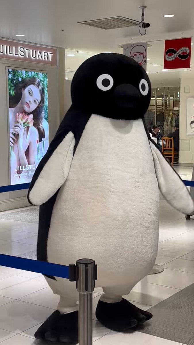 suicaペンギン同志画像集 - posfie