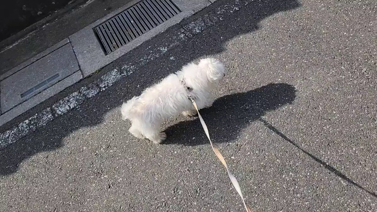 2025/5/26の話題ツイートまとめ - posfie