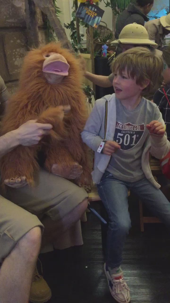 Raphael Vicas (@RaphaelVicas) / Twitter