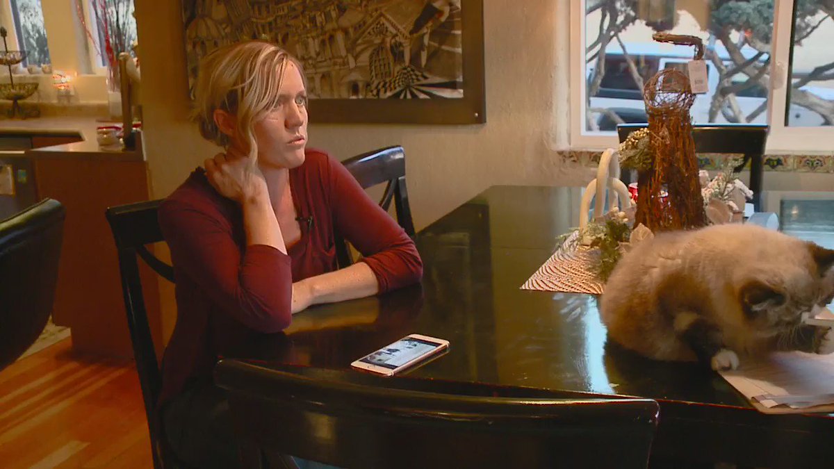Cat Interrupts TV Interview – Cat Daily News Cat Interrupts TV Interview – Cat Daily News