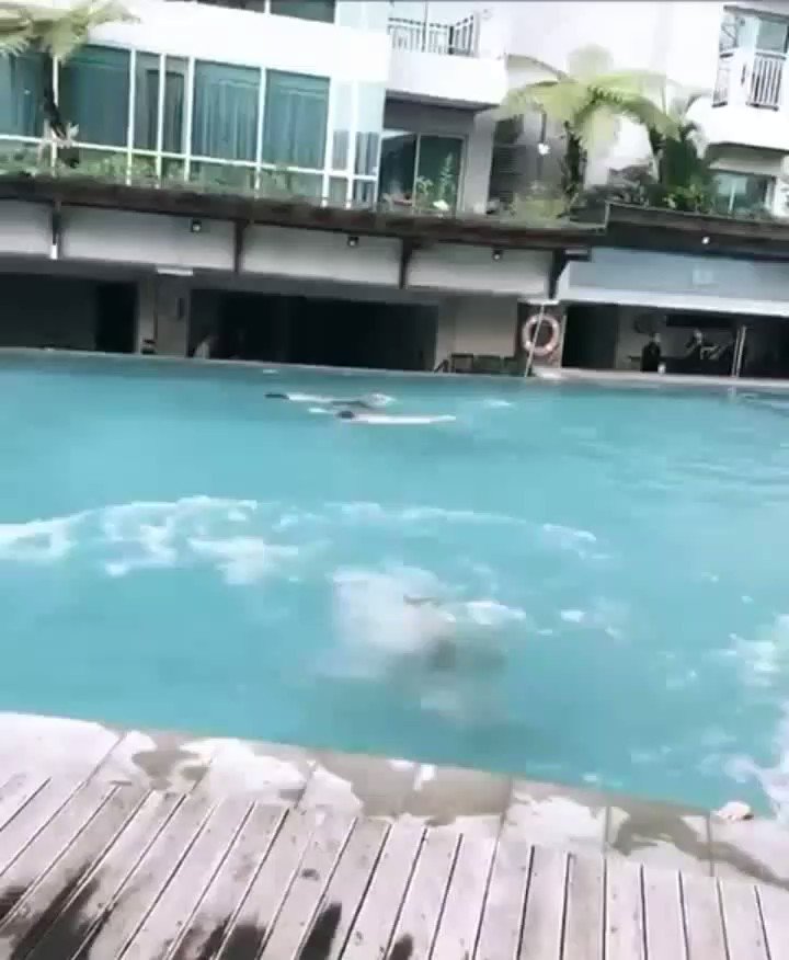 MRVVIP on Twitter: "Megantara shirtless pool jump rewind. #selebwatch https://t.co/8e3NVXG8kt ...