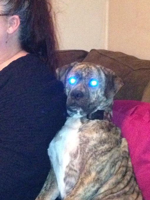 TW Pornstars - Jamie Teague. Pictures and videos from Twitter.