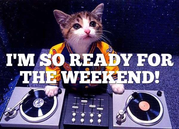 Ready For The Weekend Cat