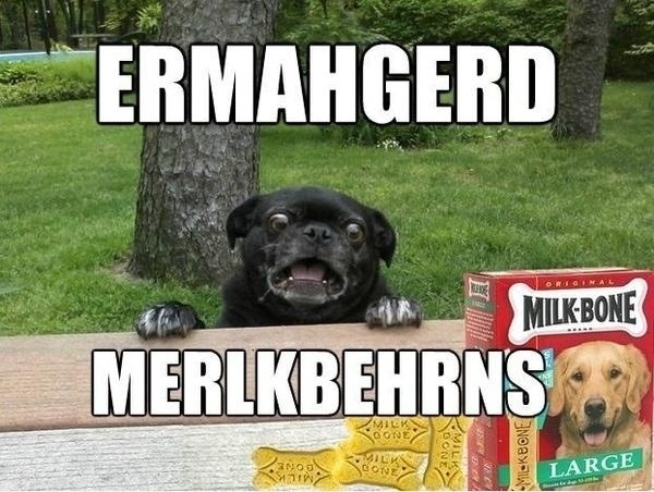 Ermahgerd Original