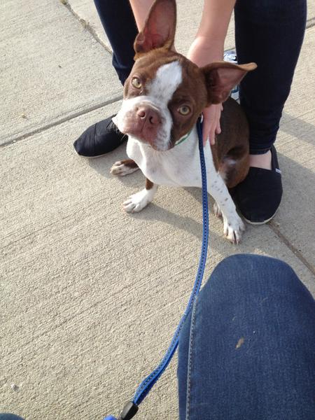 Brianne Davis (@aNervousFlower) | Twitter