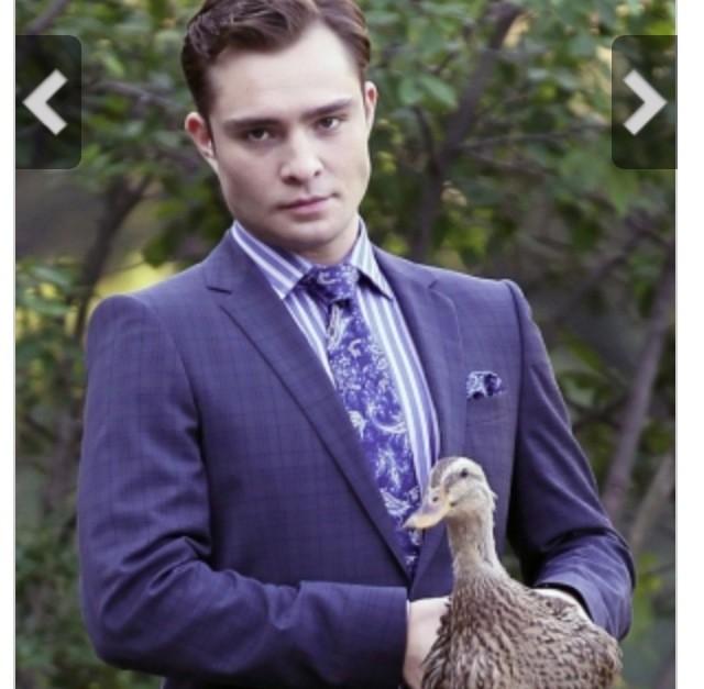 Chuck Bass Purple