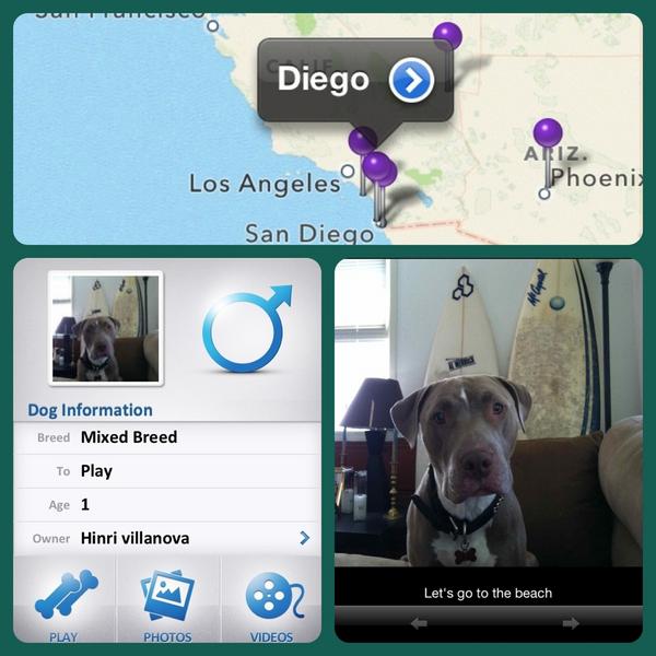 DogDate (@DogDate) | Twitter