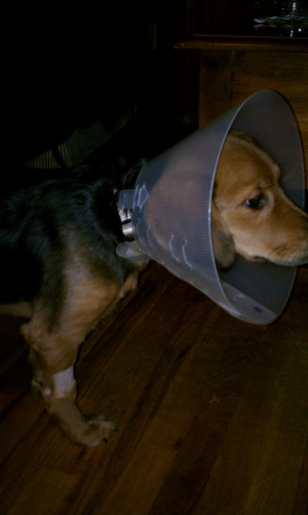 Greg Mackey (@Gregmackey7) | Twitter