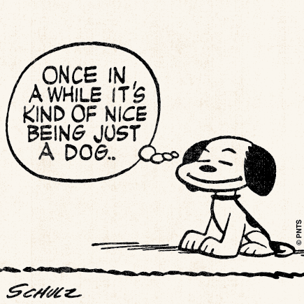 Peanuts Facebook Quotes 30 Iconic Peanuts Quotes By Charles M. Schulz
