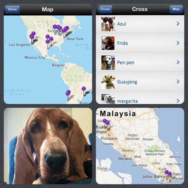 DogDate (@DogDate) | Twitter