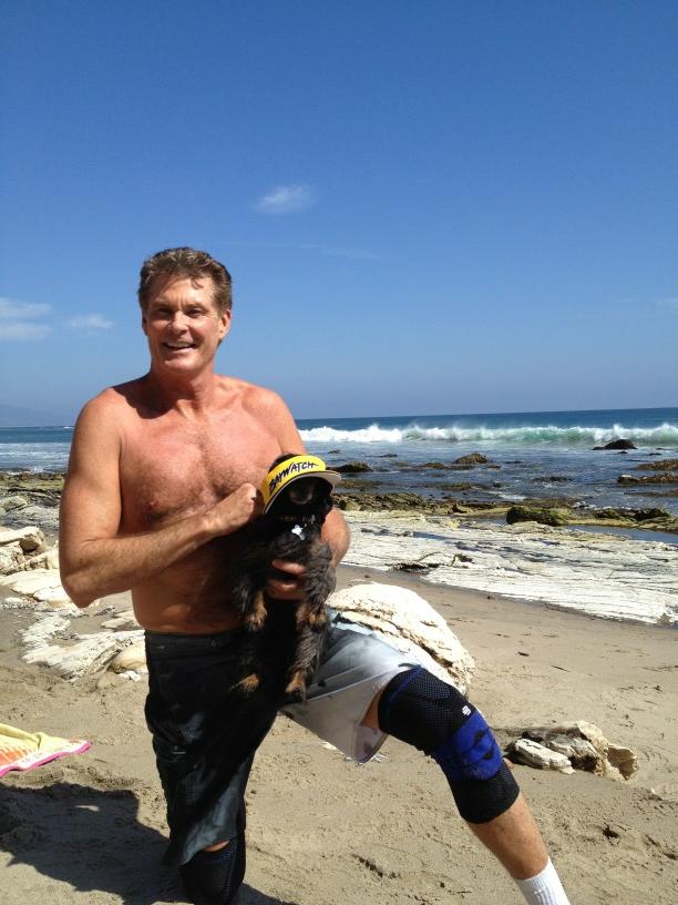 David Hasselhoff Beach