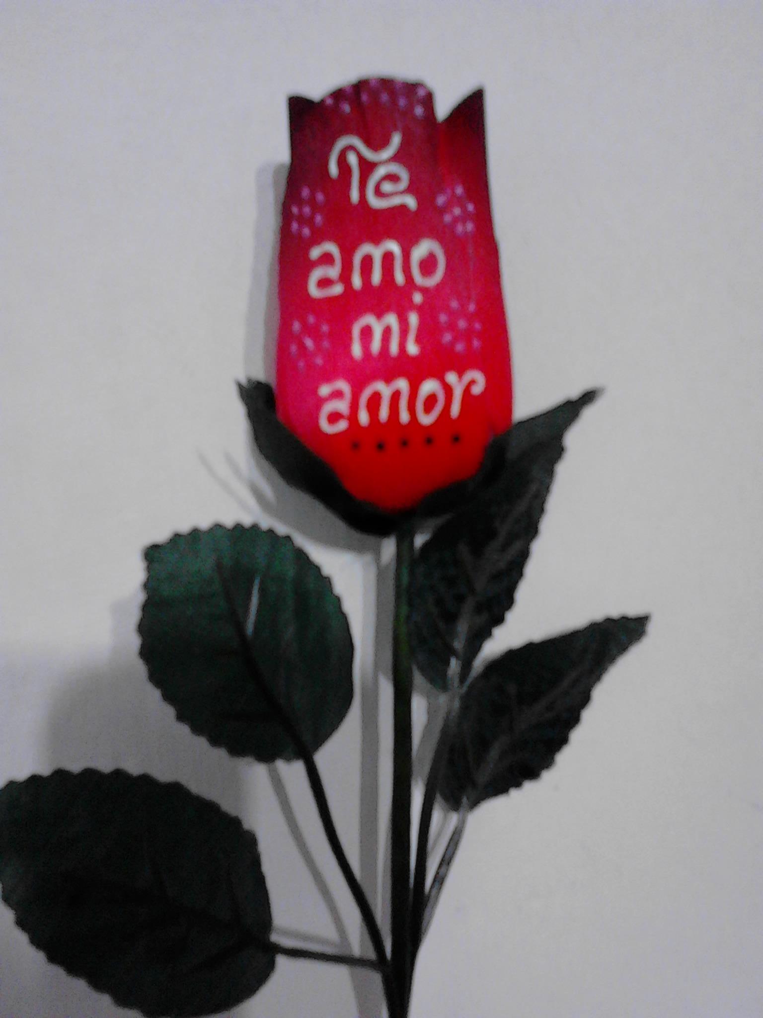 Te Amo Imagenes Con Rosas Corazon G Rosas Frase – Florería