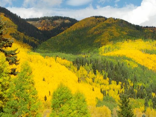 Mark Baker (@mdb_engineering) | Twitter