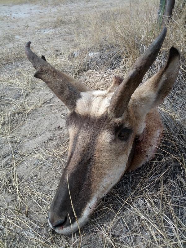 Mark Baker (@mdb_engineering) | Twitter