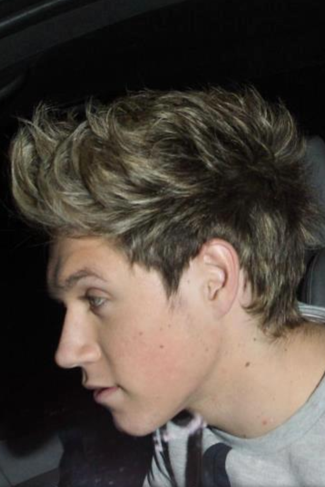 Zayn Malik Hairstyle Side View