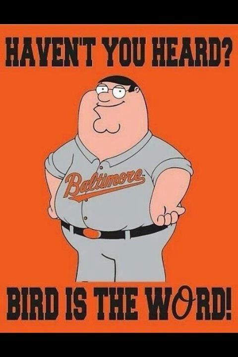 Family Guy Peter Bird Is The Word