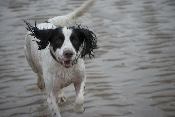 Tara Jepson (@TaraJepson) | Twitter