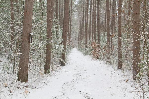 Twitter Headers Snow