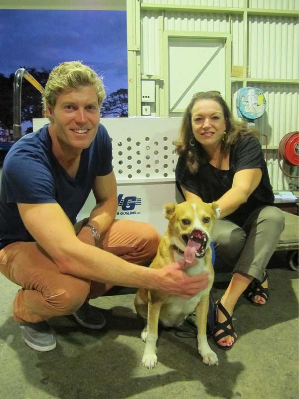 What Happened To Poppy The Dog Fiji