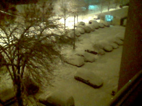 Srdjan Simonovic (@SrdjanSajmon03) | Twitter