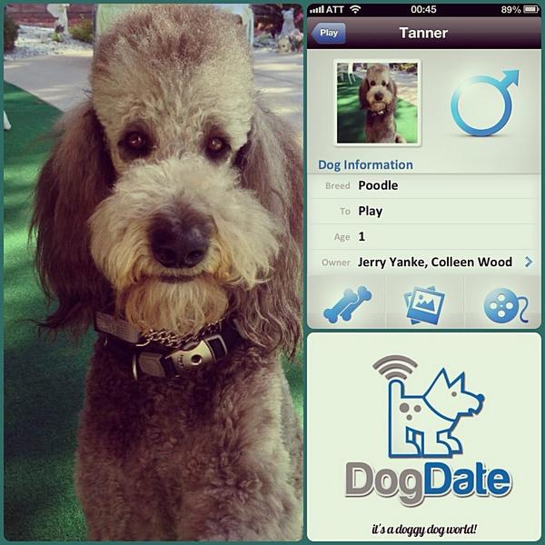 DogDate (@DogDate) | Twitter