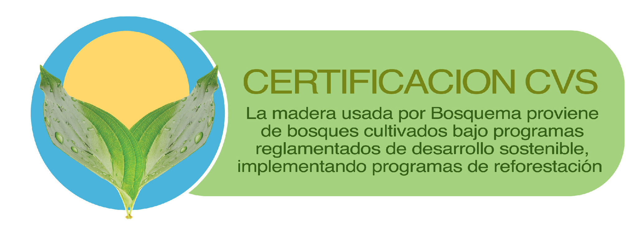 Bosquema (@Bosquema) / Twitter