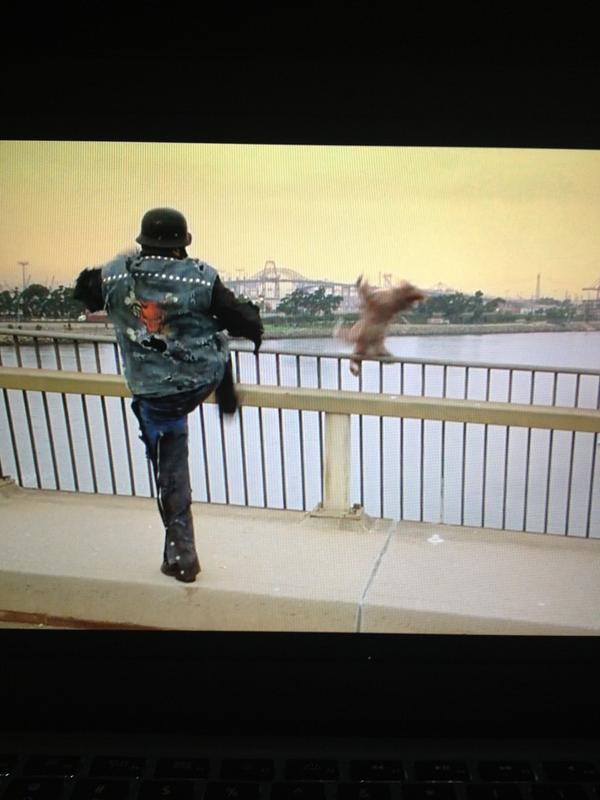 Anchorman Baxter Bridge Gif