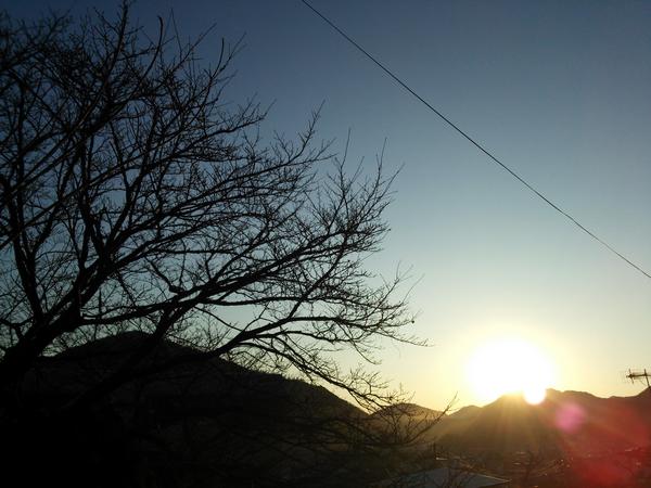 うっちー001 (@IkumaUchida) | Twitter