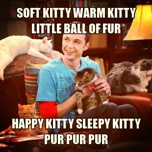 Sheldon Soft Kitty