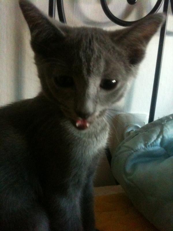 Chunbae (@IamChunBae) | Twitter