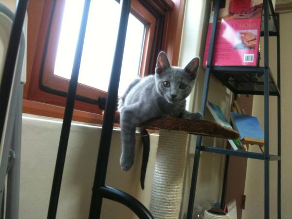 Chunbae (@IamChunBae) | Twitter