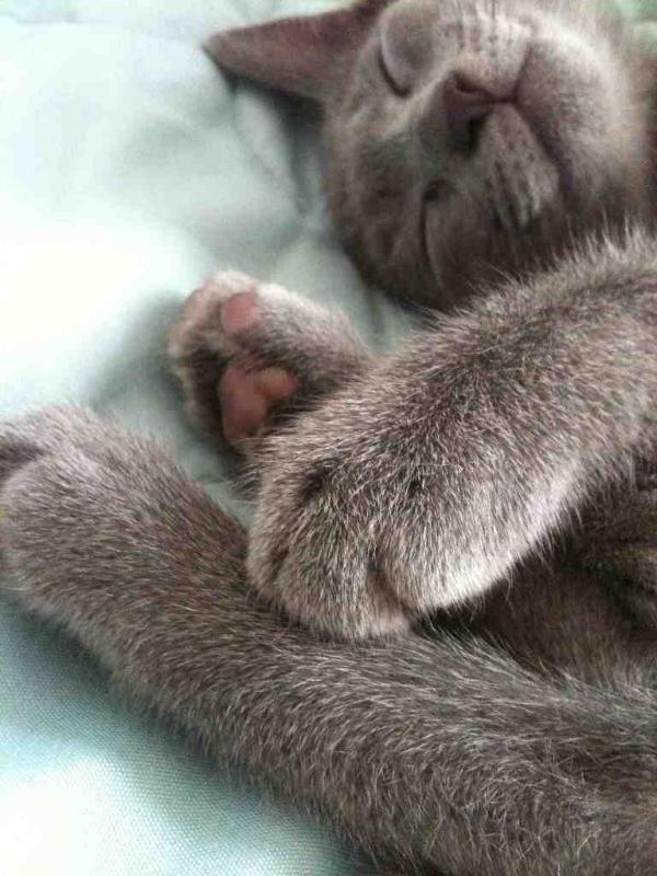 Chunbae (@IamChunBae) | Twitter