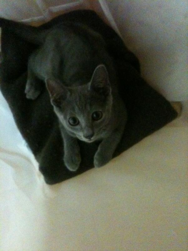 Chunbae (@IamChunBae) | Twitter