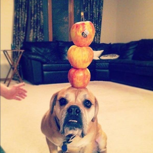 mimikuso (@fush1ko) | Twitter