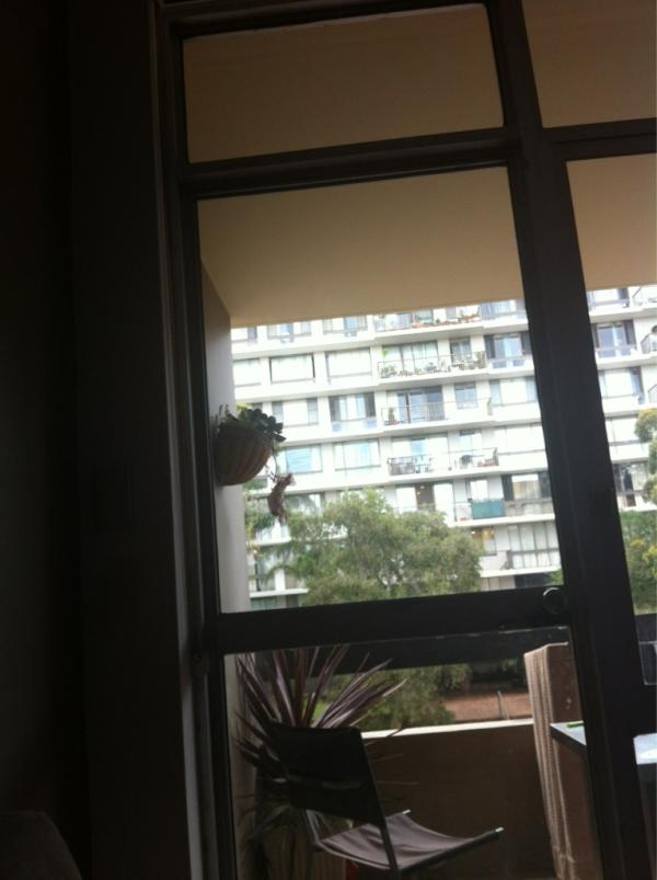 Patsy Taylor (@Patsyataylor) | Twitter