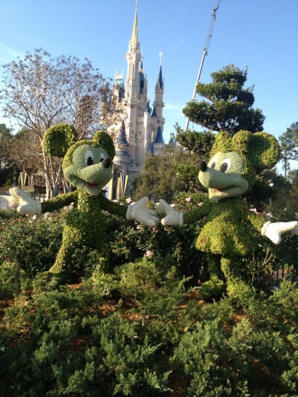 melissa hale (@XxmElIsSaXx____) | Twitter