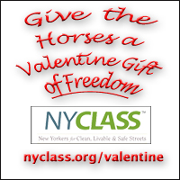 NYCLASS on Twitter: "Show your support! Use this pic as your sm timeline profile photo on ...