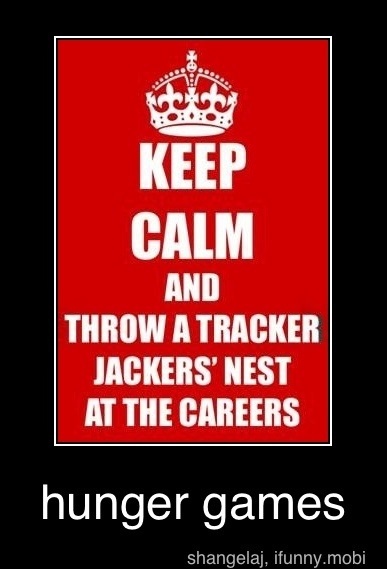 Keep Calm Posters Hunger Games