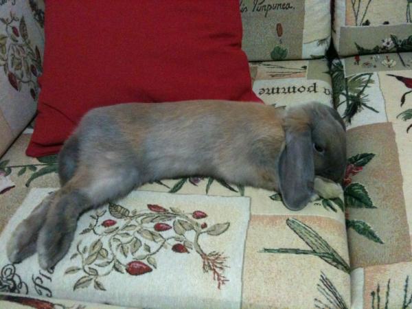 Jerónimo Albi (@jeronimoalbi) | Twitter