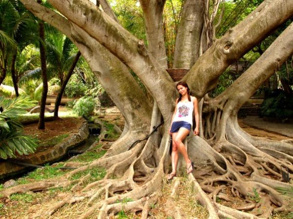 Софья Игнатова (@Sofya_Ignatova) | Twitter