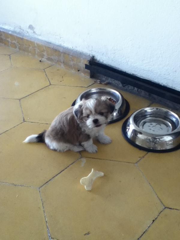 Flor Olvera (@flor_olvera13) | Twitter