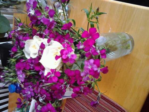 Daniel Rhoades (@DanielRhoades) | Twitter