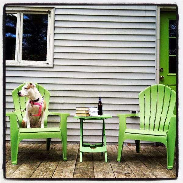 Pixie Pit Pixiepit Twitter 8075