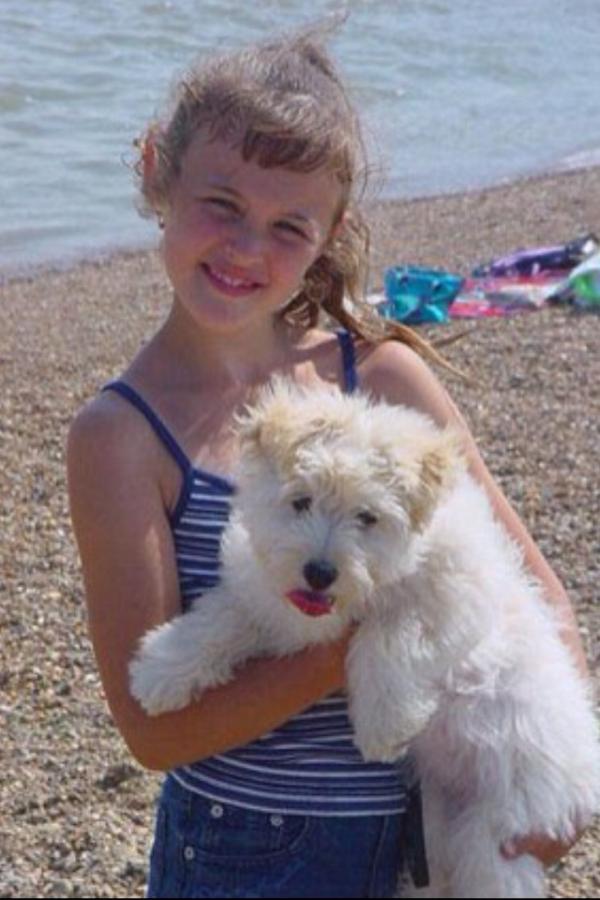 What Breed Is Pudsey The Dancing Dog