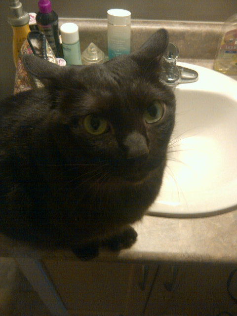 TW Pornstars - Villiantia Von D'Arc. The most liked pictures and videos ...