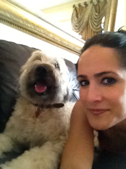 Lauren Shehadi's Instagram, Twitter & Facebook on IDCrawl