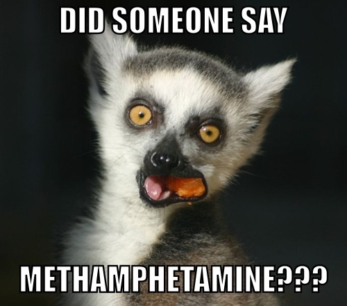 Lemur Memes